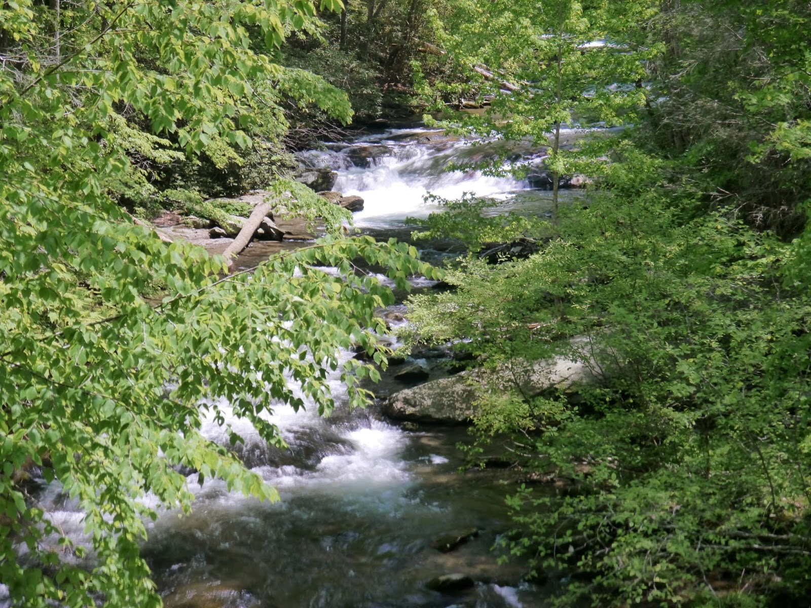 American Travel Journal: Bald River Falls and Kahuna Falls - Cherokee ...