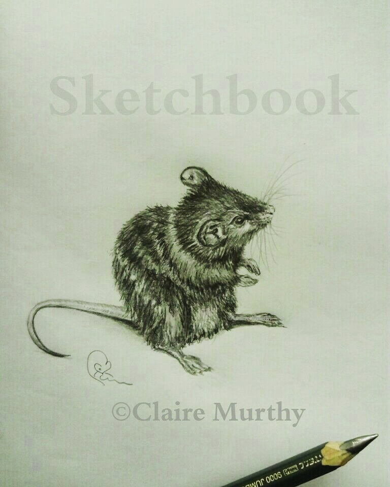 British Wildlife Art : Mice