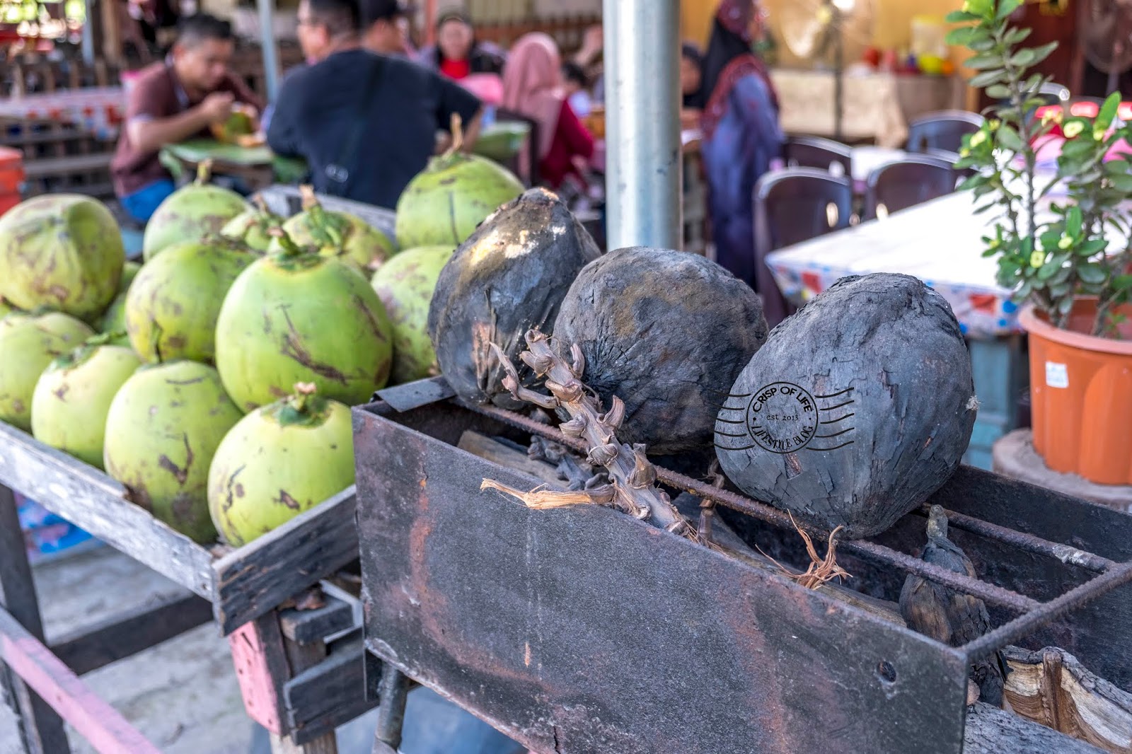 Coconut Pudding And Lokan Bakar Jalan Sulaman Sabah Crisp Of Life Penang Food And Travel Blogger