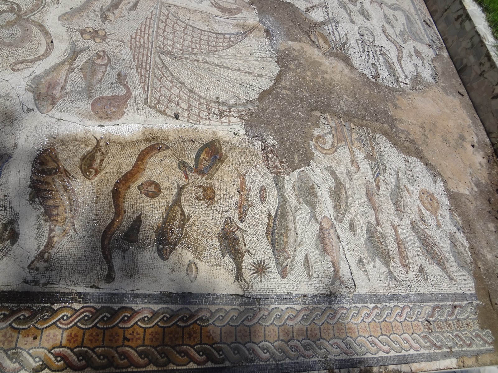 Sites archéologiques en Tunisie: Le site archeologique Utique