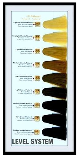 Become LLLEVEL Headed, Knowing the ''Level System of Hair Coloring" Can ...