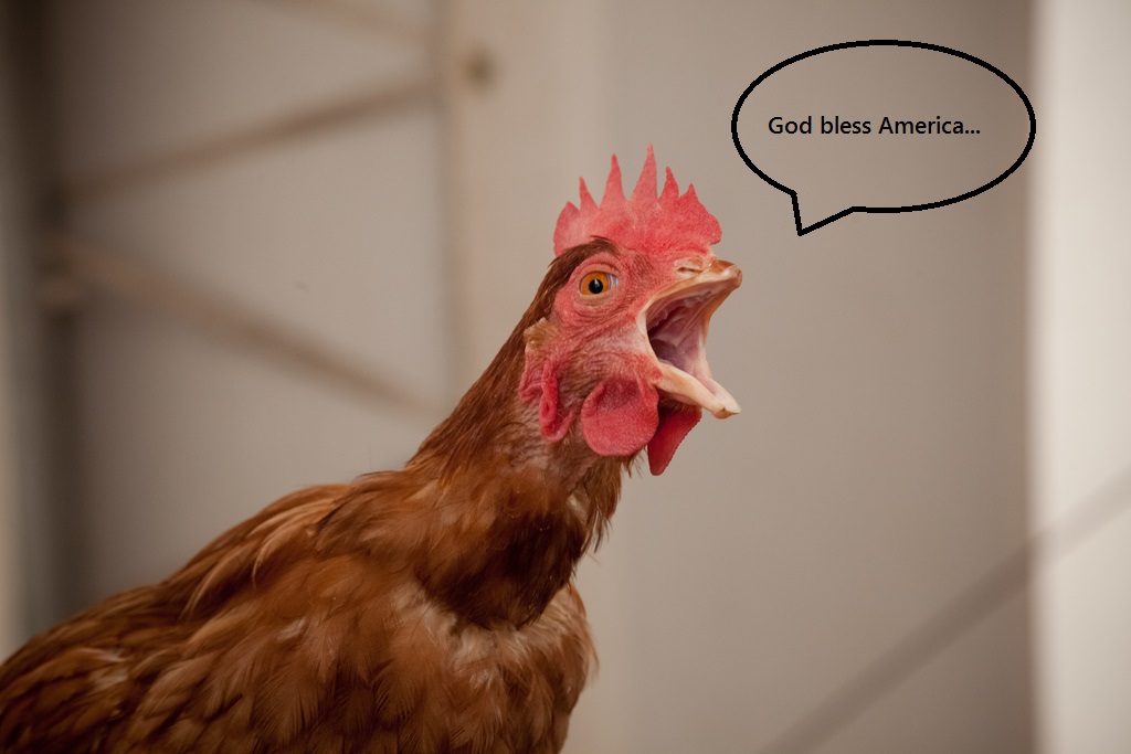 RamBLer WithOut BorDers * }: December 2015