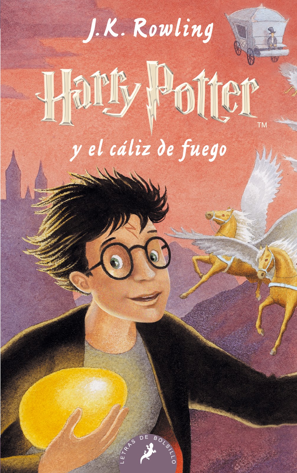 Leer para comprender el mundo: Harry Potter y el Caliz de Fuego - Libro ...