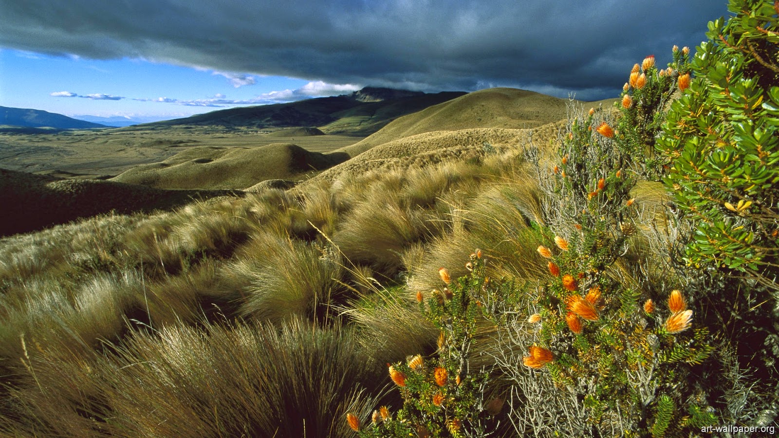 AS MAIS BELAS IMAGENS DA NATUREZA