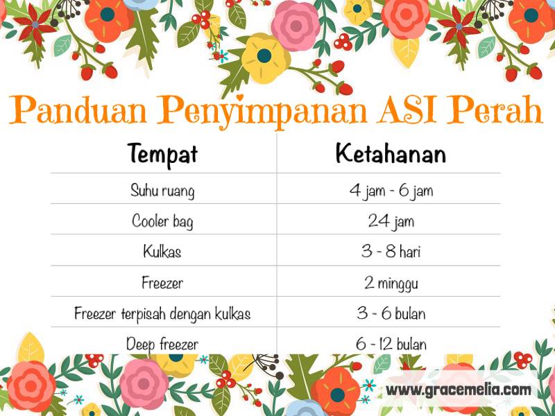 Tips Menyimpan ASI Perah | gracemelia.com | Parenting Blogger Indonesia