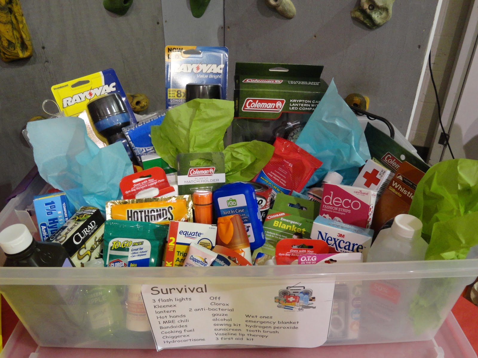 The Little Lucky Lab: Auction Baskets