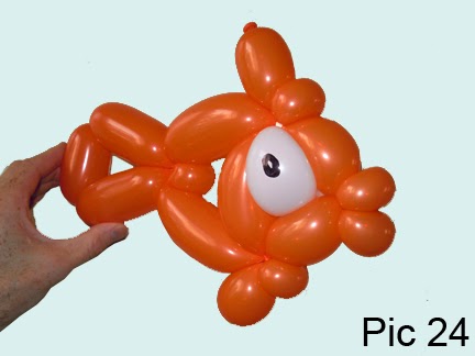 CLASSICAL: One balloon fish