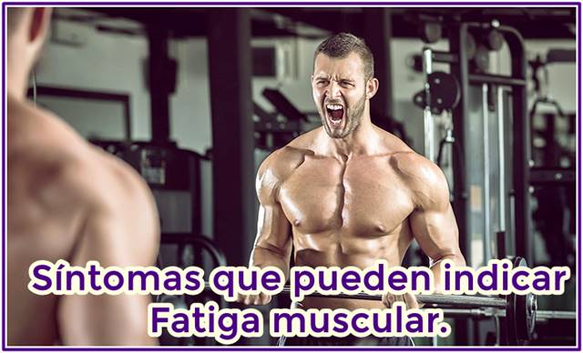 ¿Qué hacer para recuperarse de la fatiga muscular?