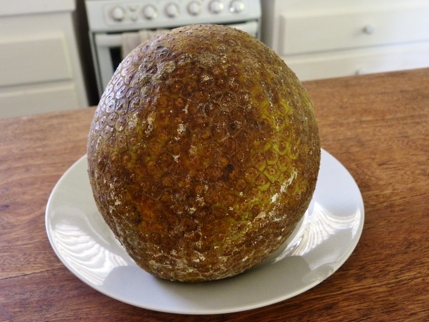 Cottage Life on Pilgrim's Farm: Breadfruit Pudding...