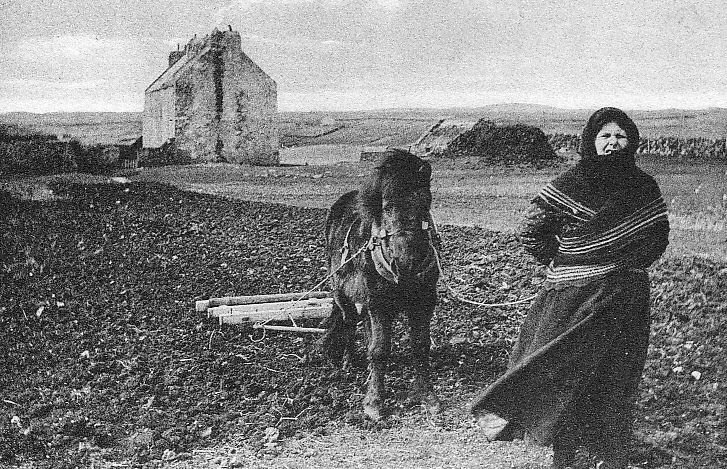 Tour Scotland: Old Photograph Crofter Harrowing Field Scotland