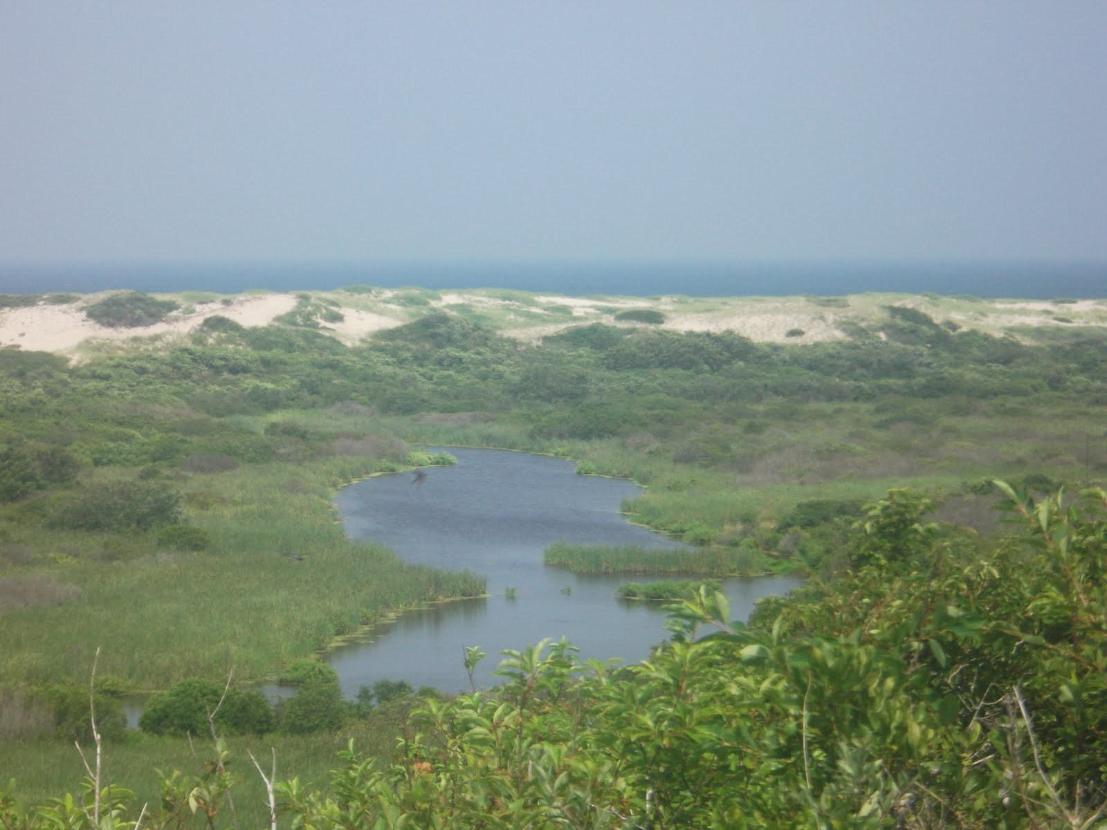 Hike Cape Cod: Pilgrim Springs - Small's Swamp Trails, Truro MA