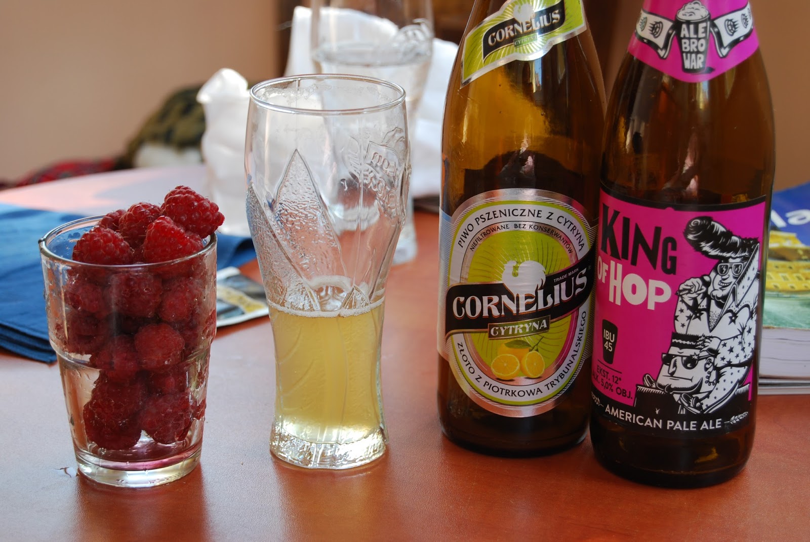 Serious Beer Journal: Gdansk, Poland