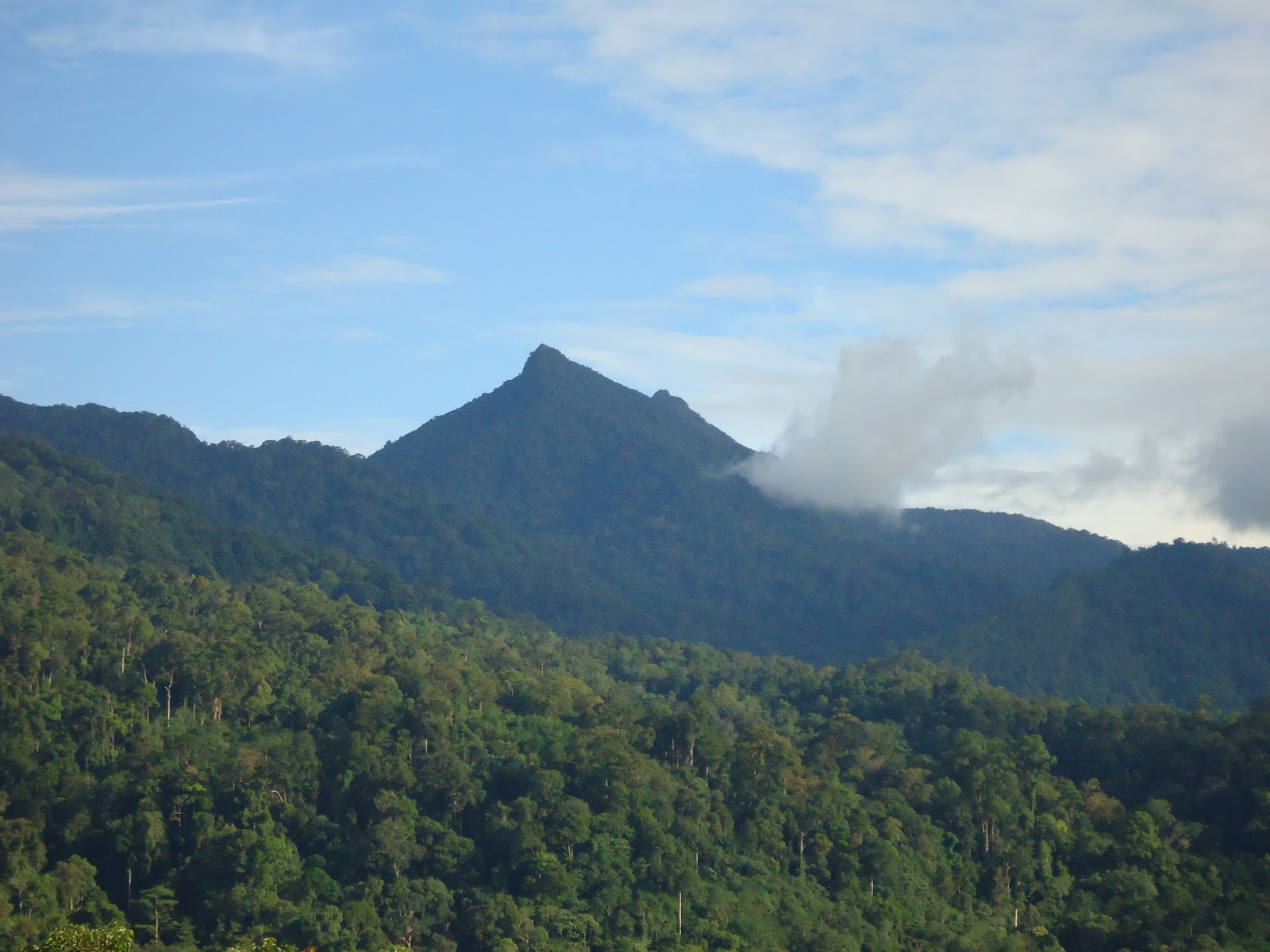 ANAK MERATUS: SYAHDI MERATUS: PEMANDU WISATA GUNUNG HALAU-HALAU