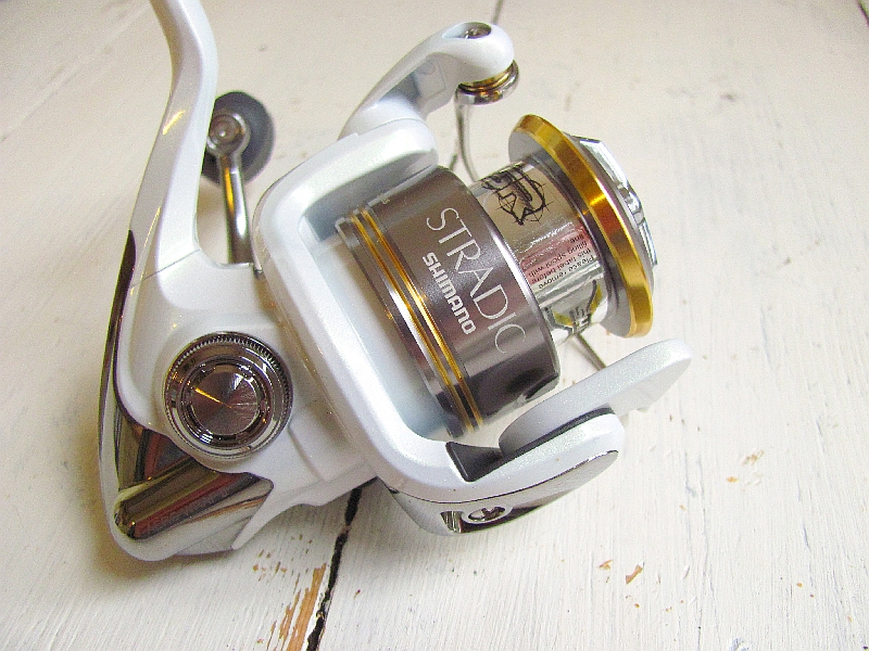 Dutch seabass: Back to my roots ....... Shimano Stradic (1000FJ)