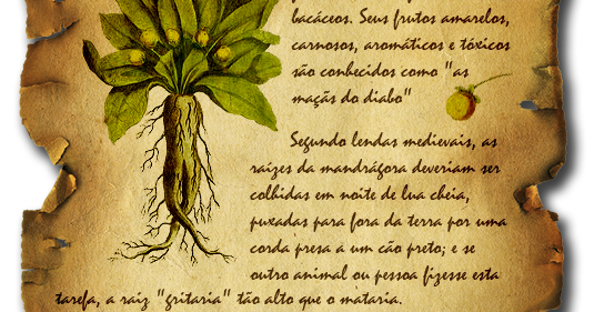 Nerd Guide D&D 5e: Mandrágora