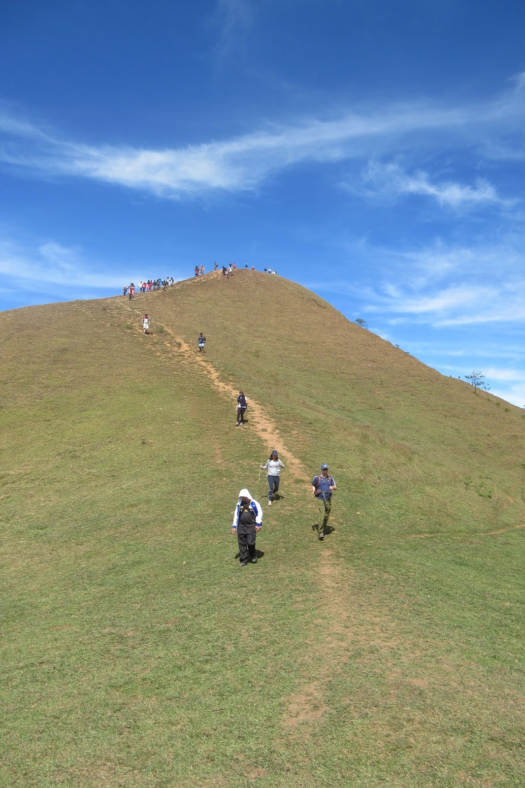 Adventure in Mt. Ulap - The Wandering Juan