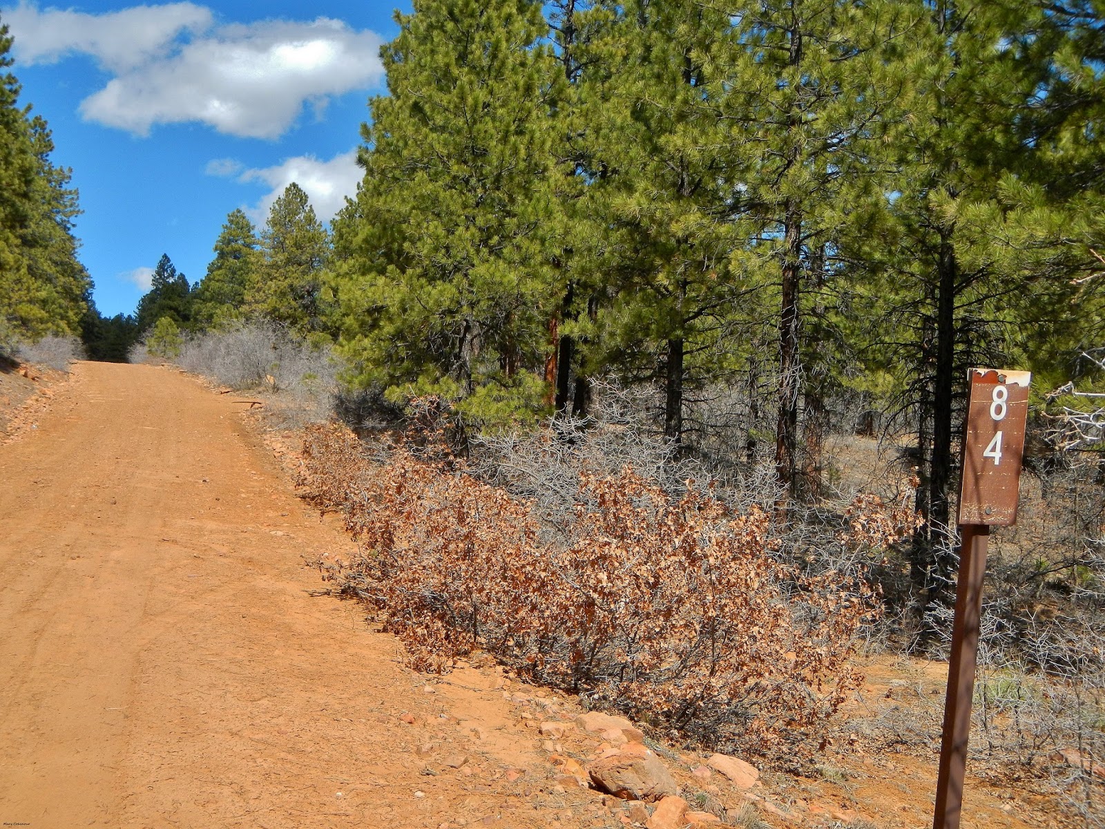 The Southwest Through Wide Brown Eyes: Recapture Reservoir and North.