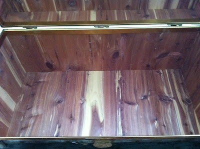 The Suite Revival: Silver Metallic Trunk.