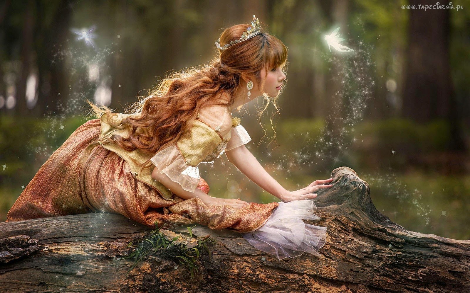 Zatrzymać czas: ELFY I WRÓŻKI