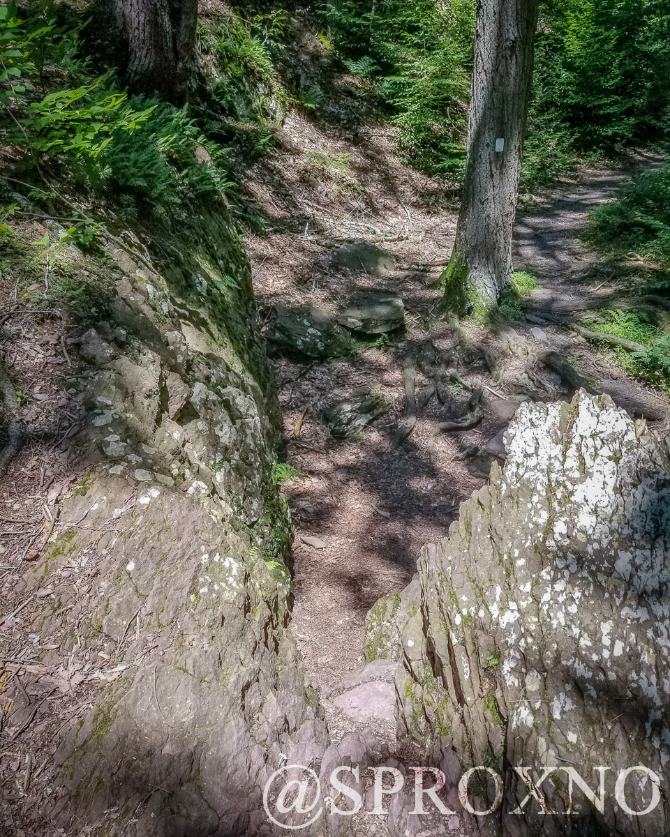 Tillman Ravine Trail Hike - Pushing Myself