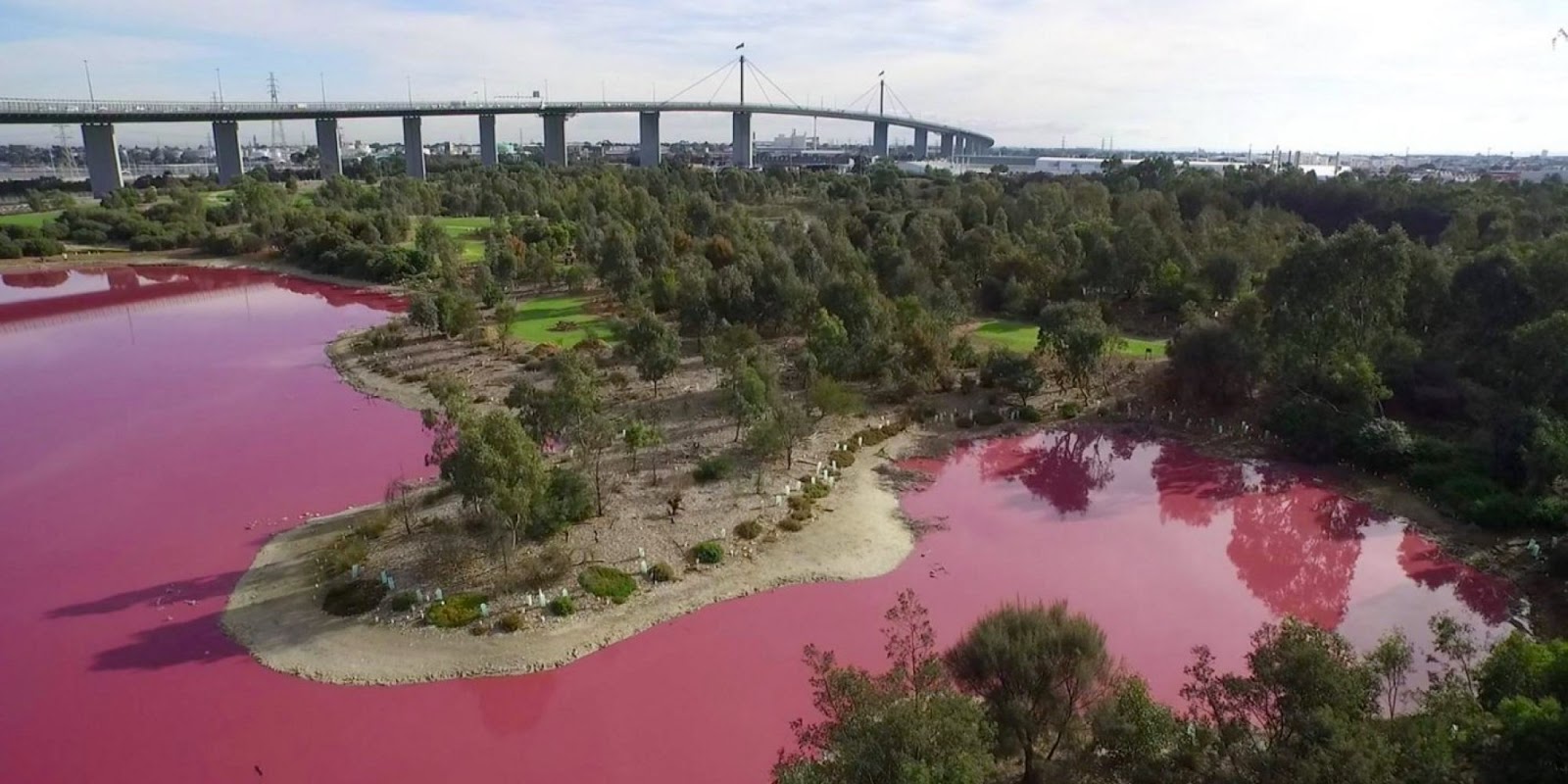 Australian Lake Turned Pink in Incredible Natural Phenomenon - Geology In