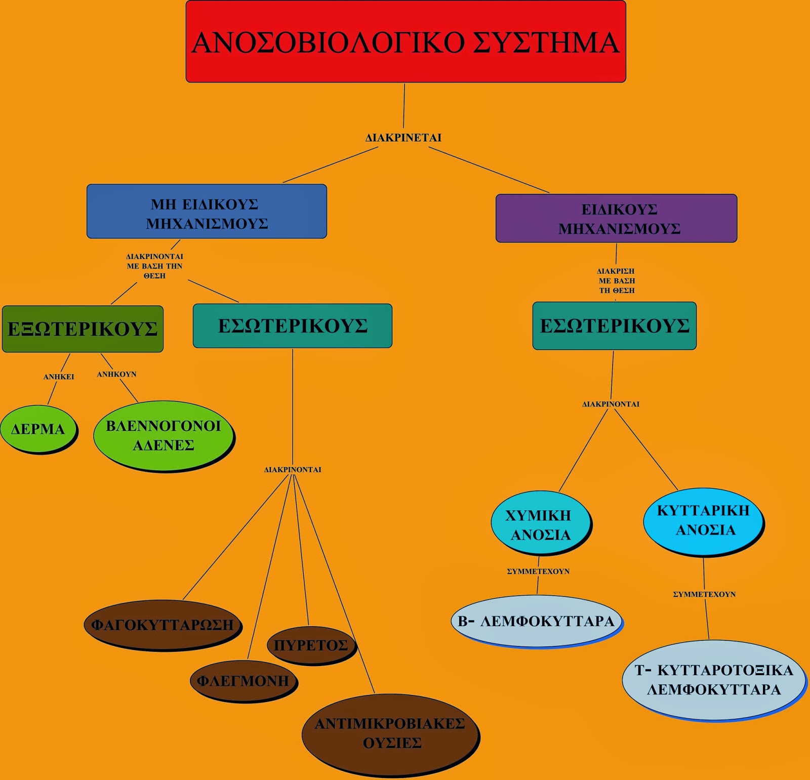 Η ΒΙΟΛΟΓΙΚΗ ΝΤΟΜΑΤΑ: Φεβρουαρίου 2014