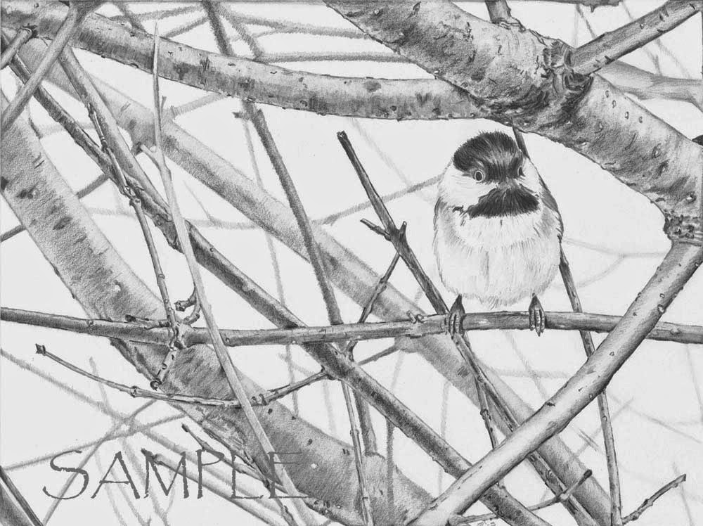 Sheila Cain-Sample: PENCIL