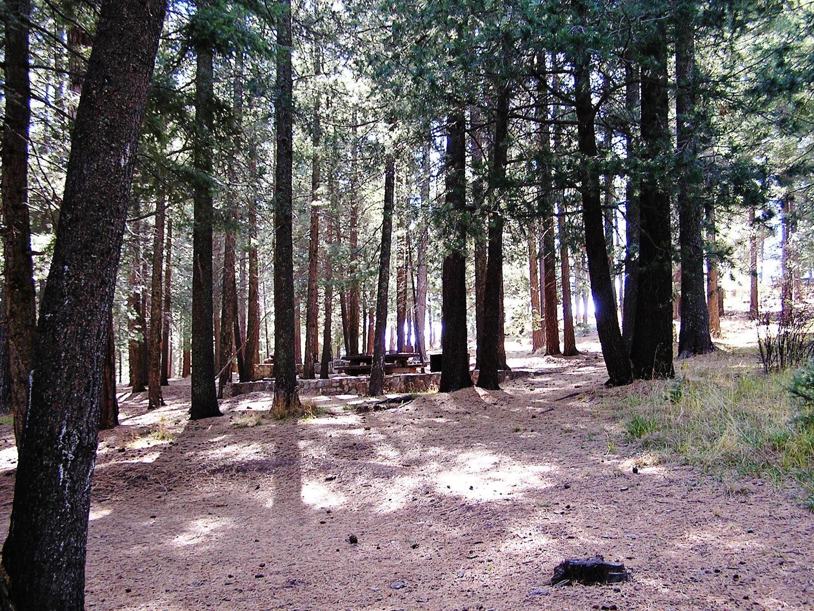 All The Good Names Were Taken: Coronado National Forest: Mount Graham ...