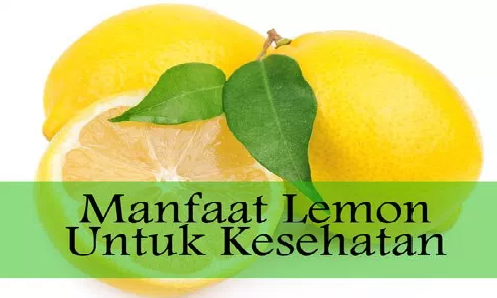 LEMON (22 Manfaat Lemon Bagi Kesehatan Diet, Pencernaan, Mengatasi ...
