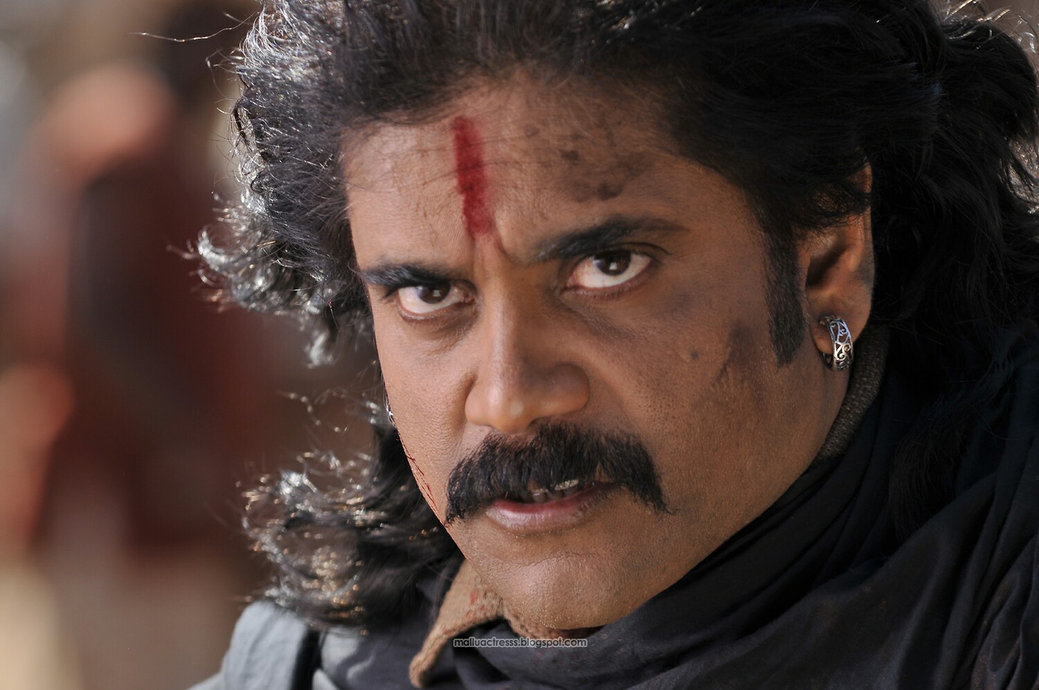 Malayalam actress: Rajanna movie photo gallery