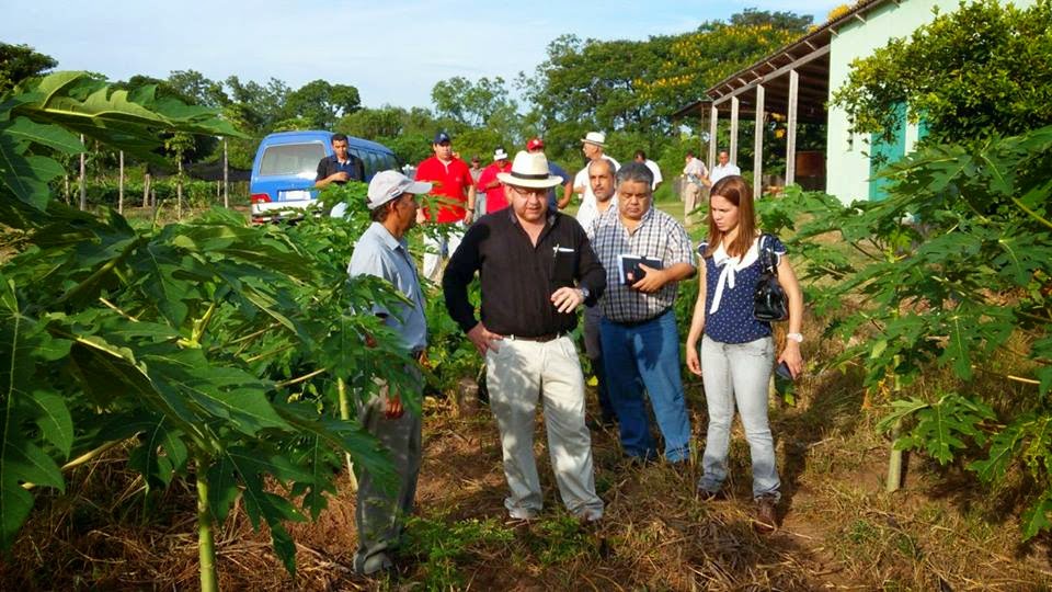 MAG entrega insumo a familias rurales del departamento Cordillera