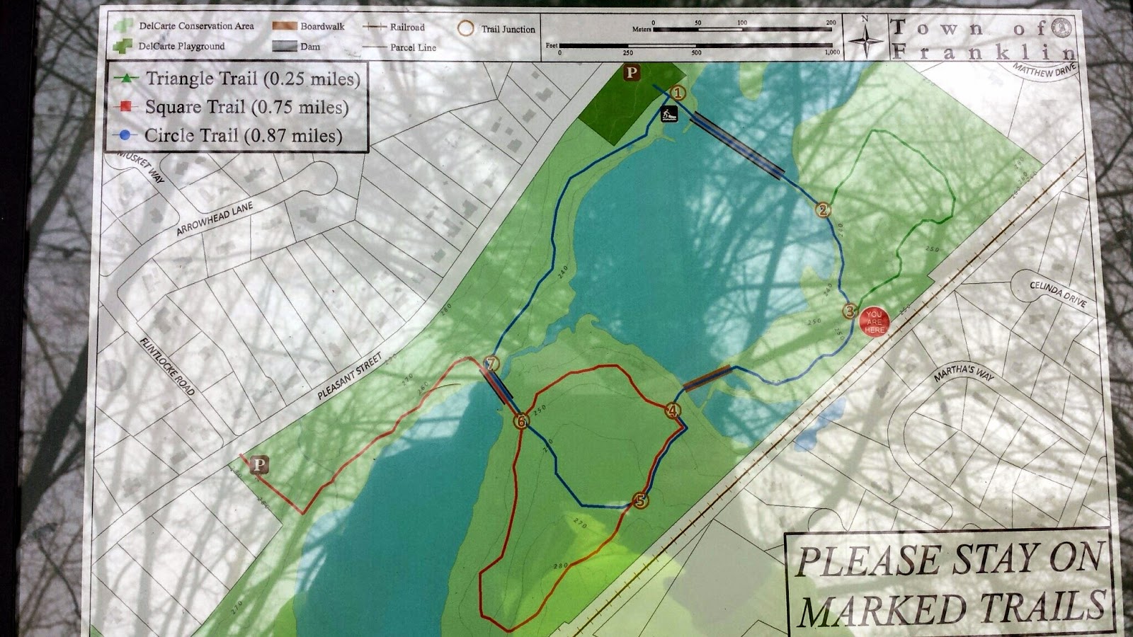Franklin Matters: DelCarte Recreation