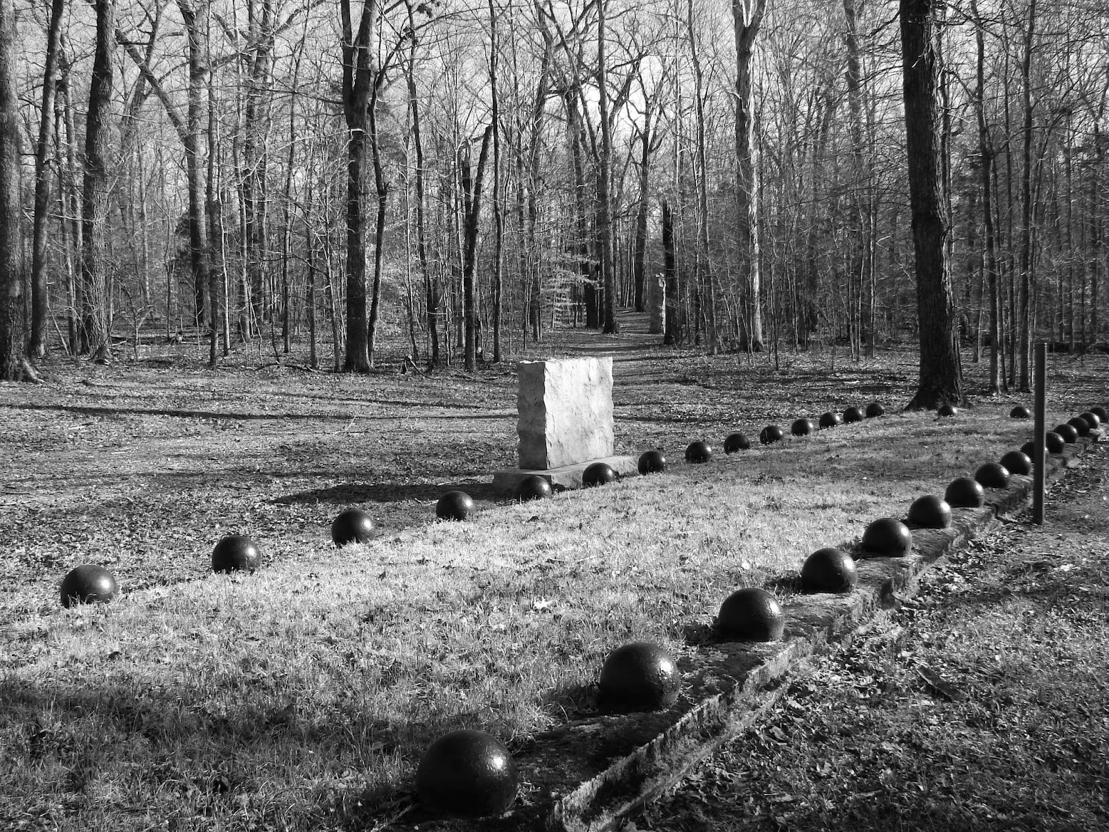 Our Country's Fiery Ordeal: Shiloh's Burial Trenches