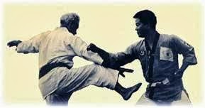 Shorinjiryu Ryujin Tiijutsu: Okinawan Karate : A complete BUJUTSU