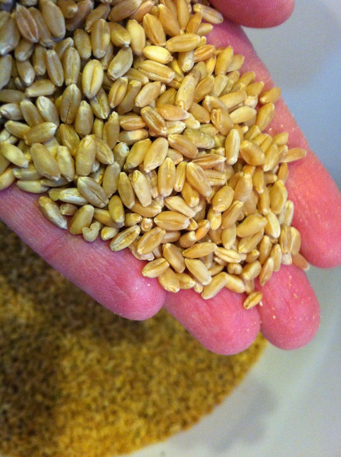 Blah Blah Blog: I Make It Myself: Bread