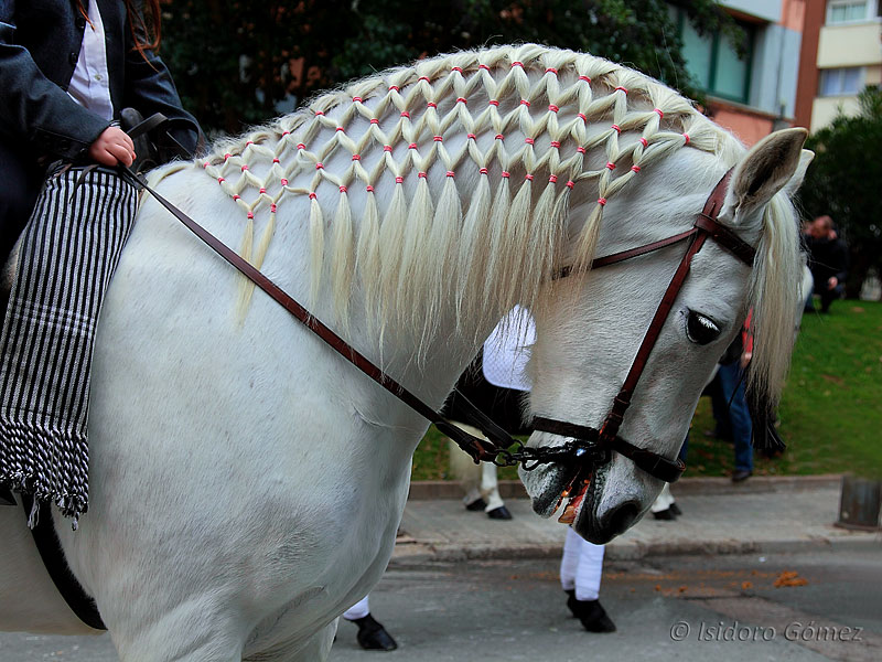 La Hípica De Sandra