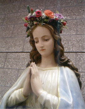 Major's Saint of the Day: August 23 -- Feast of Saint Rose of Lima