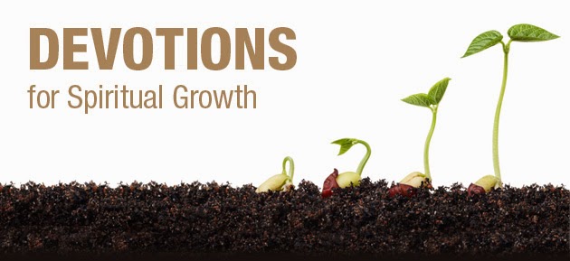 Yin Yang Journal: DEVOTION The Universal Drive to Learning and Cultivation