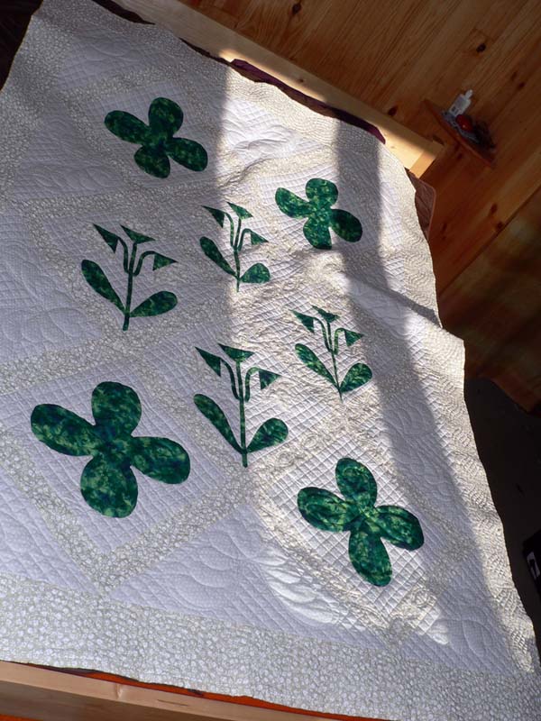 North Carolina Lily, le quilt