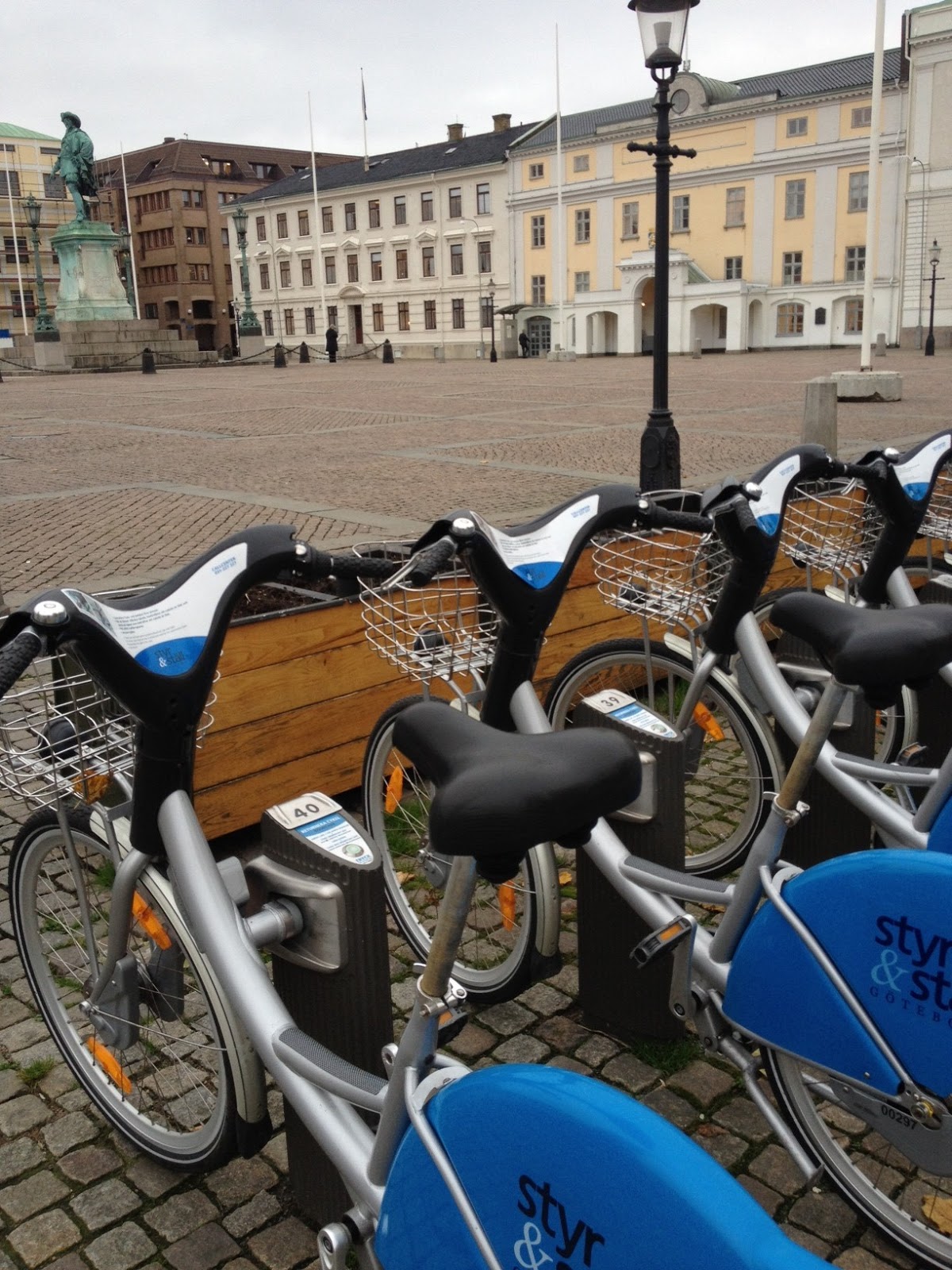 Helene Odenjung: Styr & Ställ är en succé – utvidga systemet!