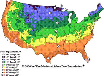 Mercado's Life Lessons: Rhubarb