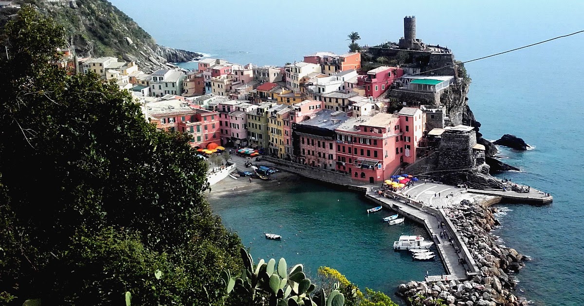 Cytrusy Mrozoodporne: Szlakiem Drzew Cytrusowych