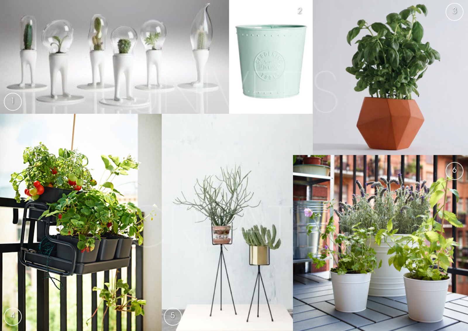 Design: Trouver pot à sa plante.