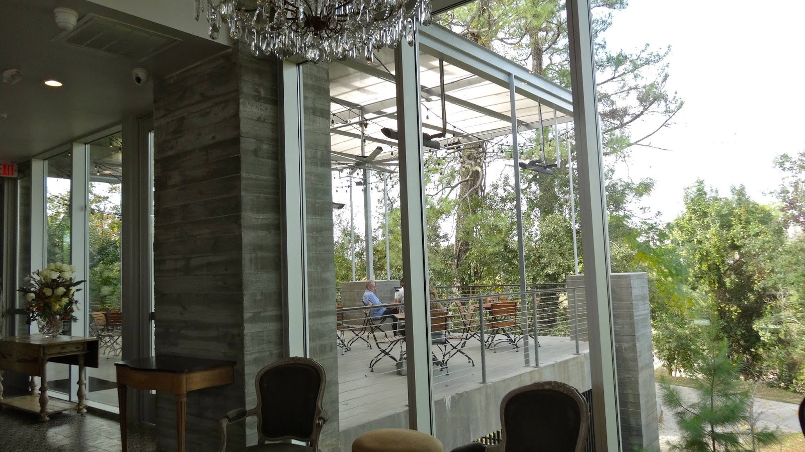 The Bayou Botanist: The Nymph's Treehouse