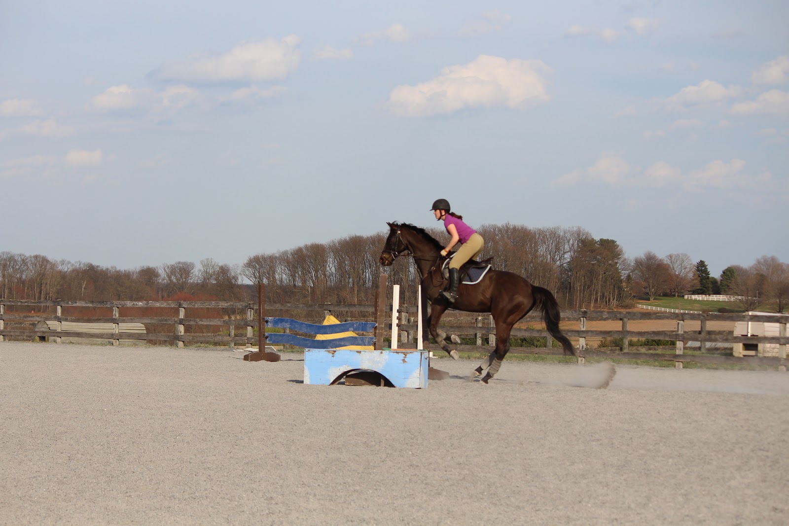 Spring Training Canter Exercises