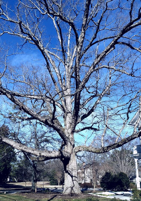 Magic in the Moment: Enjoying the Race