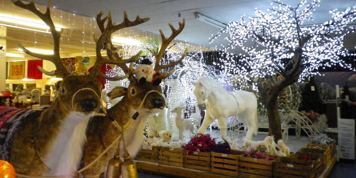 art wonder every day: Taskers Diy Superstore, Wavertree Rd