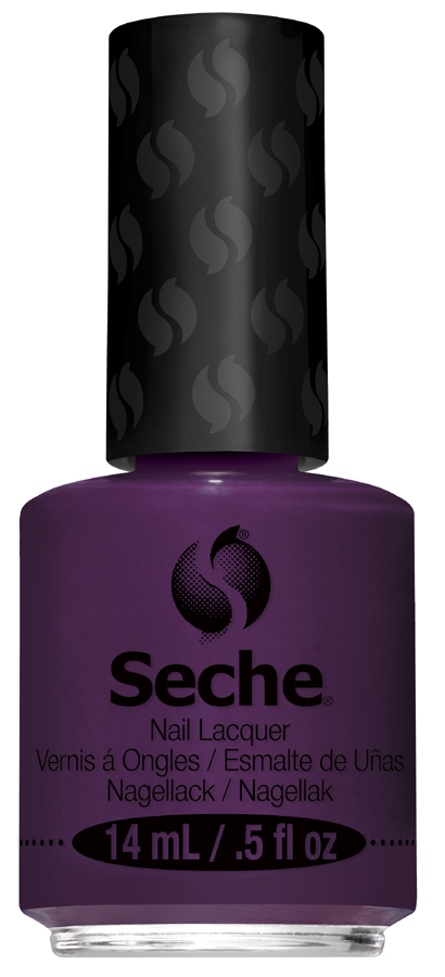 Chalkboard Nails News: Seche Clever and Confident Collection
