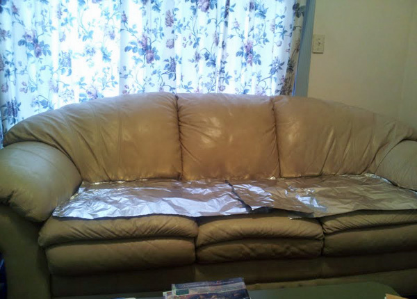 The Bathroom Drawer: Couch? Toilet?