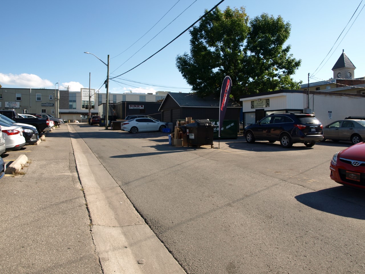 Love Your Laneways Action Committee